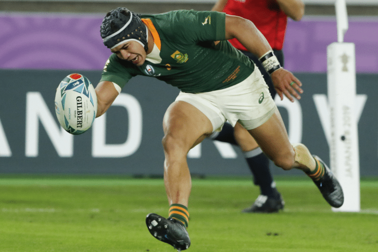 Springbok World Rankings History: The Rise to Number One - Bet Central